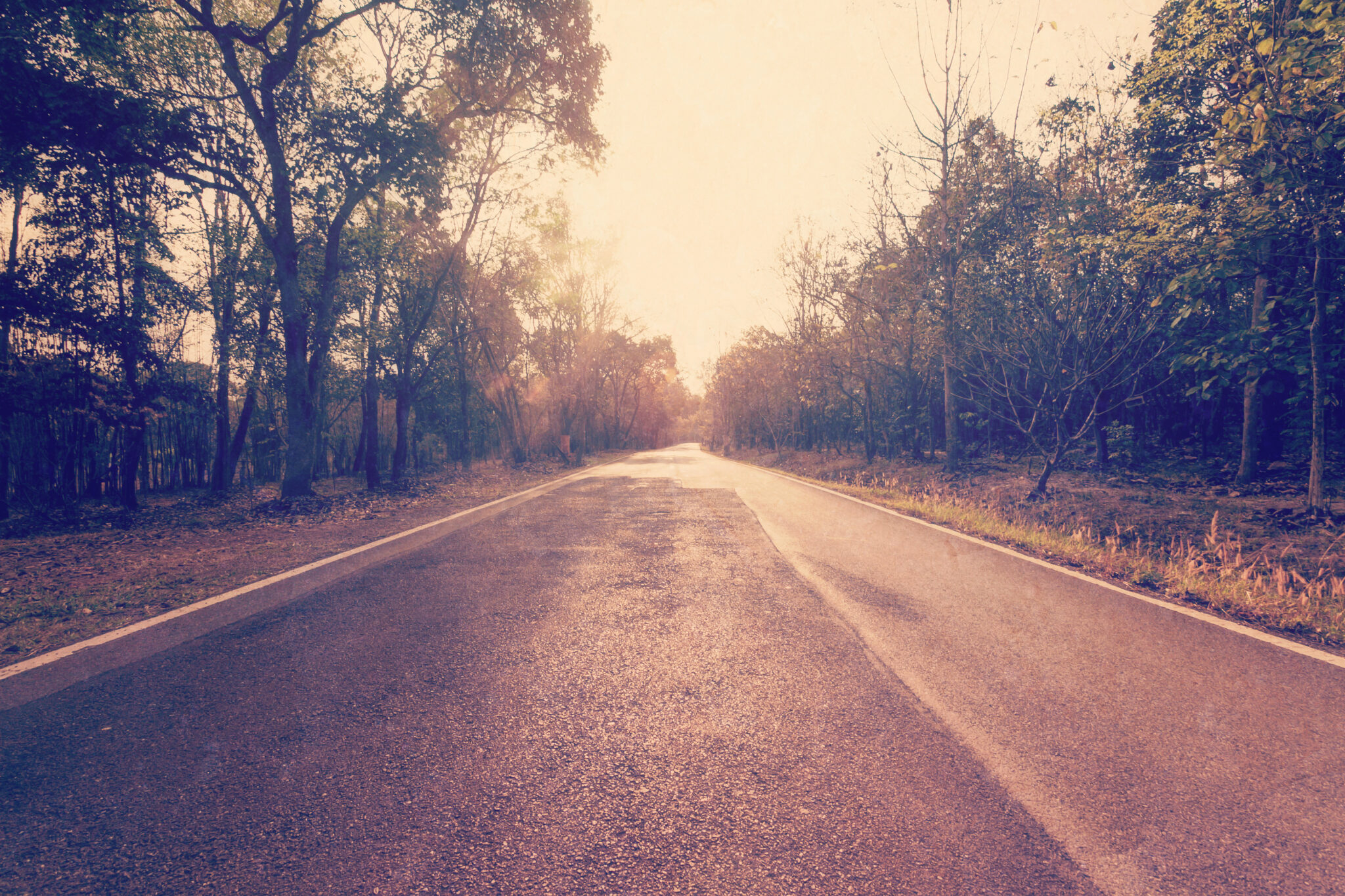 Understanding the Cremation Process for Families - New Leaf Cremation